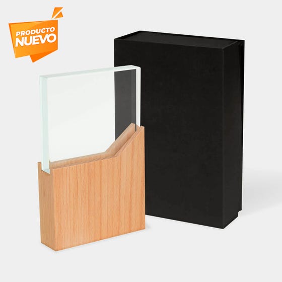 PROMODEPOT PENINSULA: RECONOCIMIENTO LYNOR